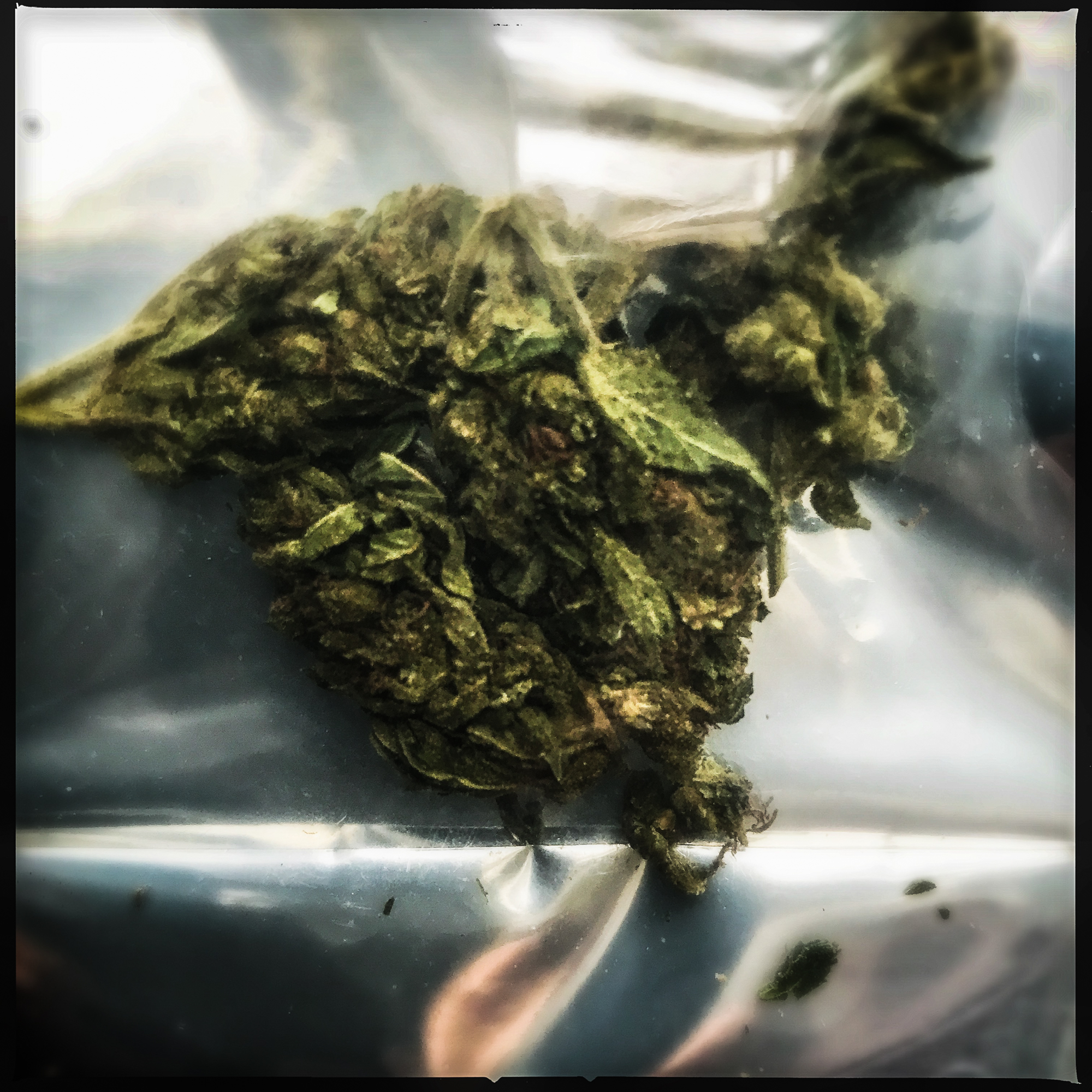 Cannabis Bill Has Reparations Fund, Congressional Rider Remains