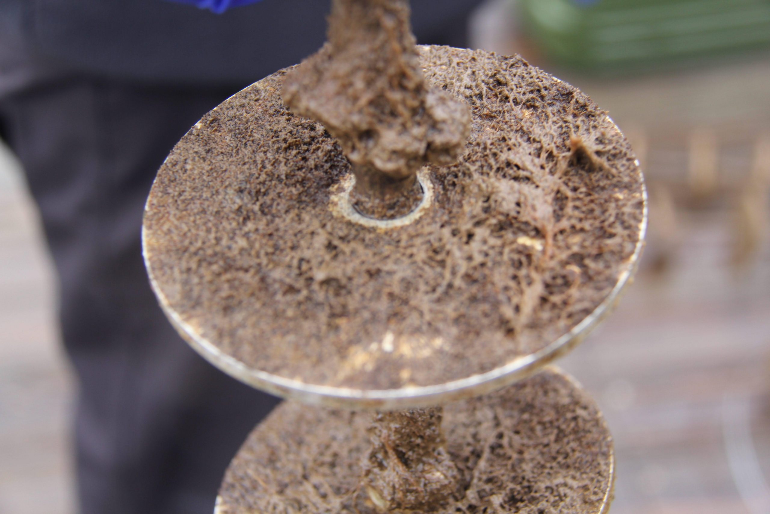 Scientists Study Impact of Microplastics in Potomac and Anacostia Rivers
