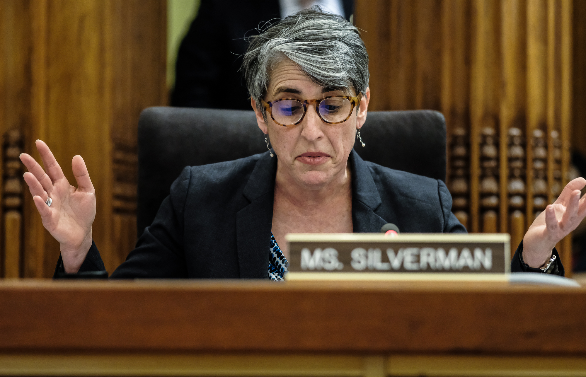 Silverman Believes the Last-Minute Controversy Over Her Ward 3 Polling ...