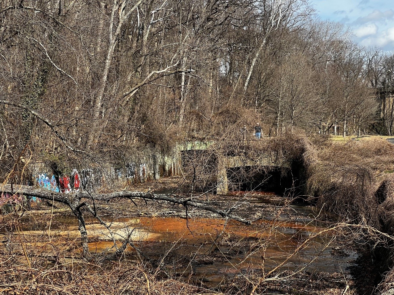 National Park Service And DC Water Invite Public Comment On Proposed ...