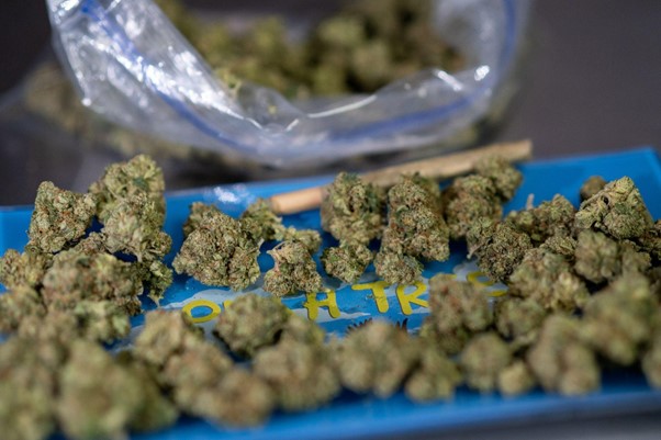 Best Delta 8 Flower: Strongest THC Bud & Strains In 2023