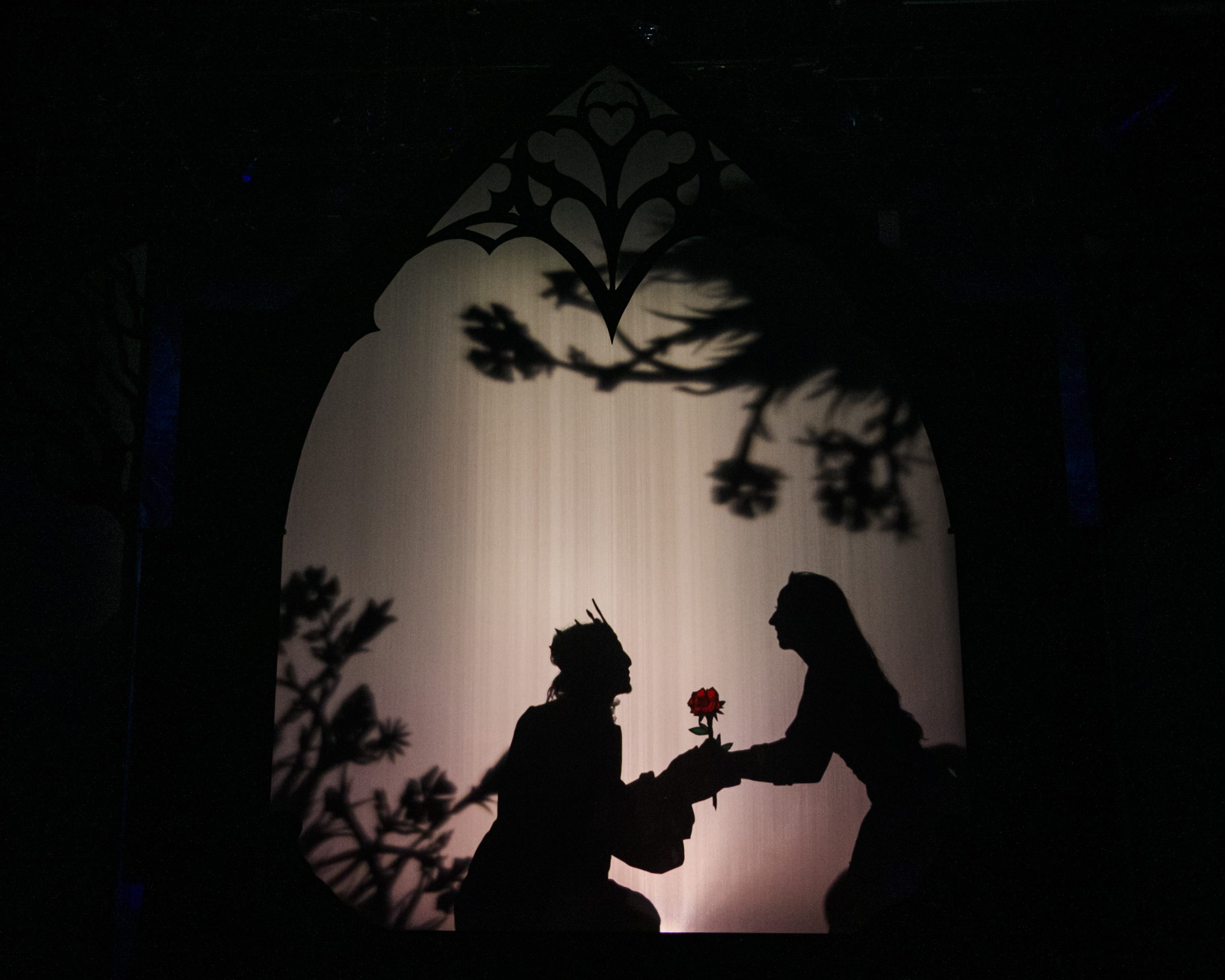Synetic Stages a Darkly Moving Beauty and the Beast - WCP