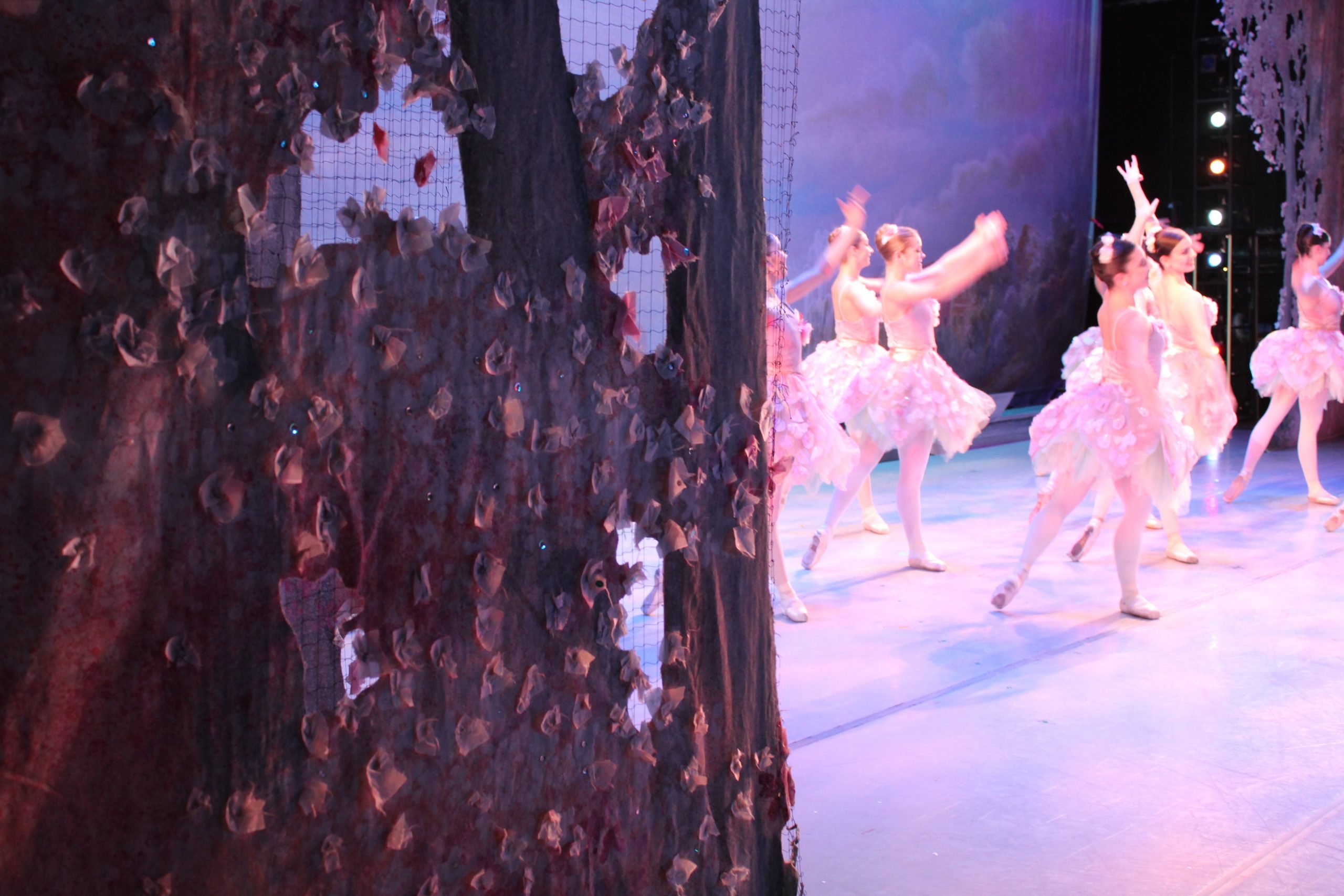 Revenue High, Spirits Higher at the Washington Ballet - WCP