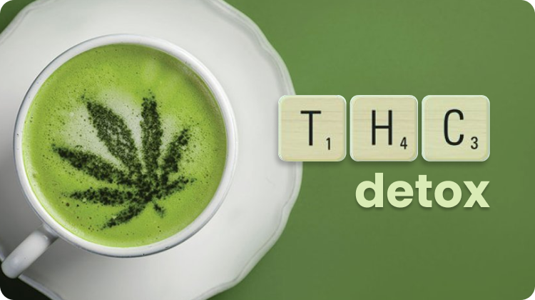 How To Detox From THC: Effective THC Detox Methods for Fast Results