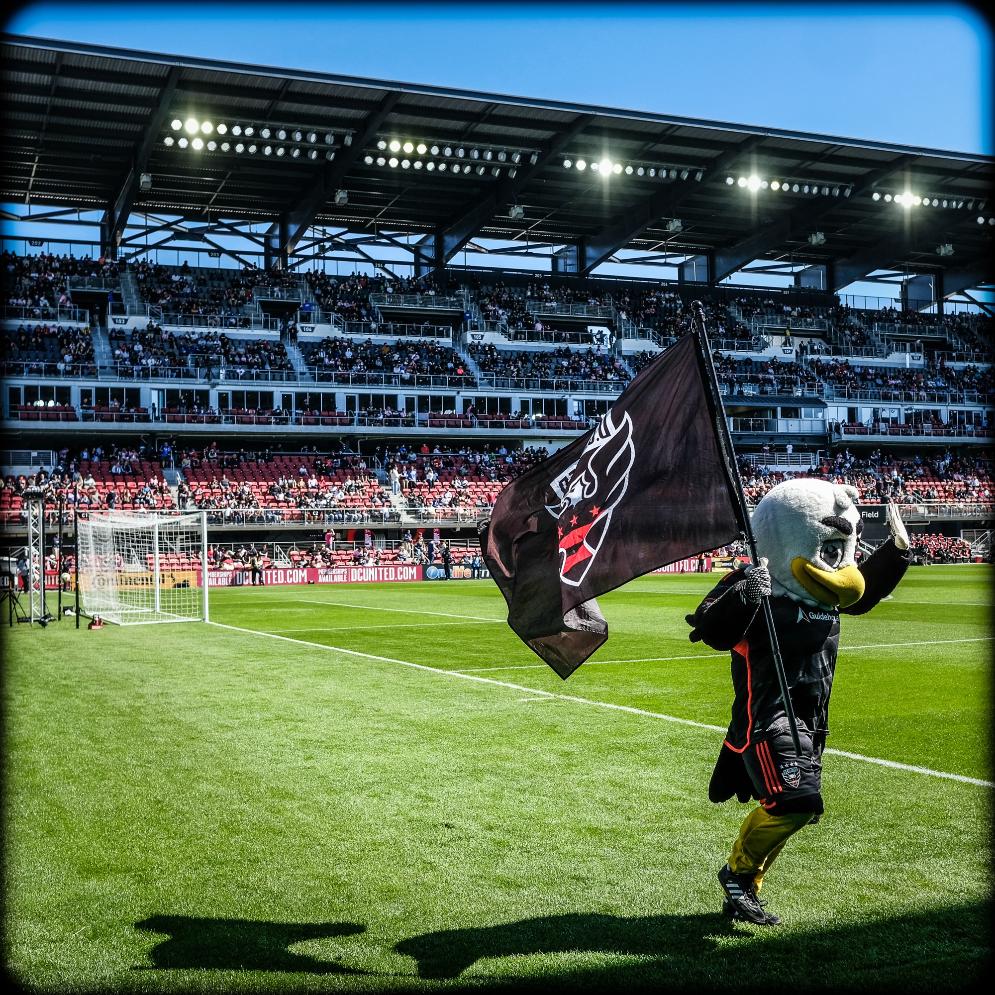 Grand Rising Curations Partners With Audi Field to Bring Concerts ...