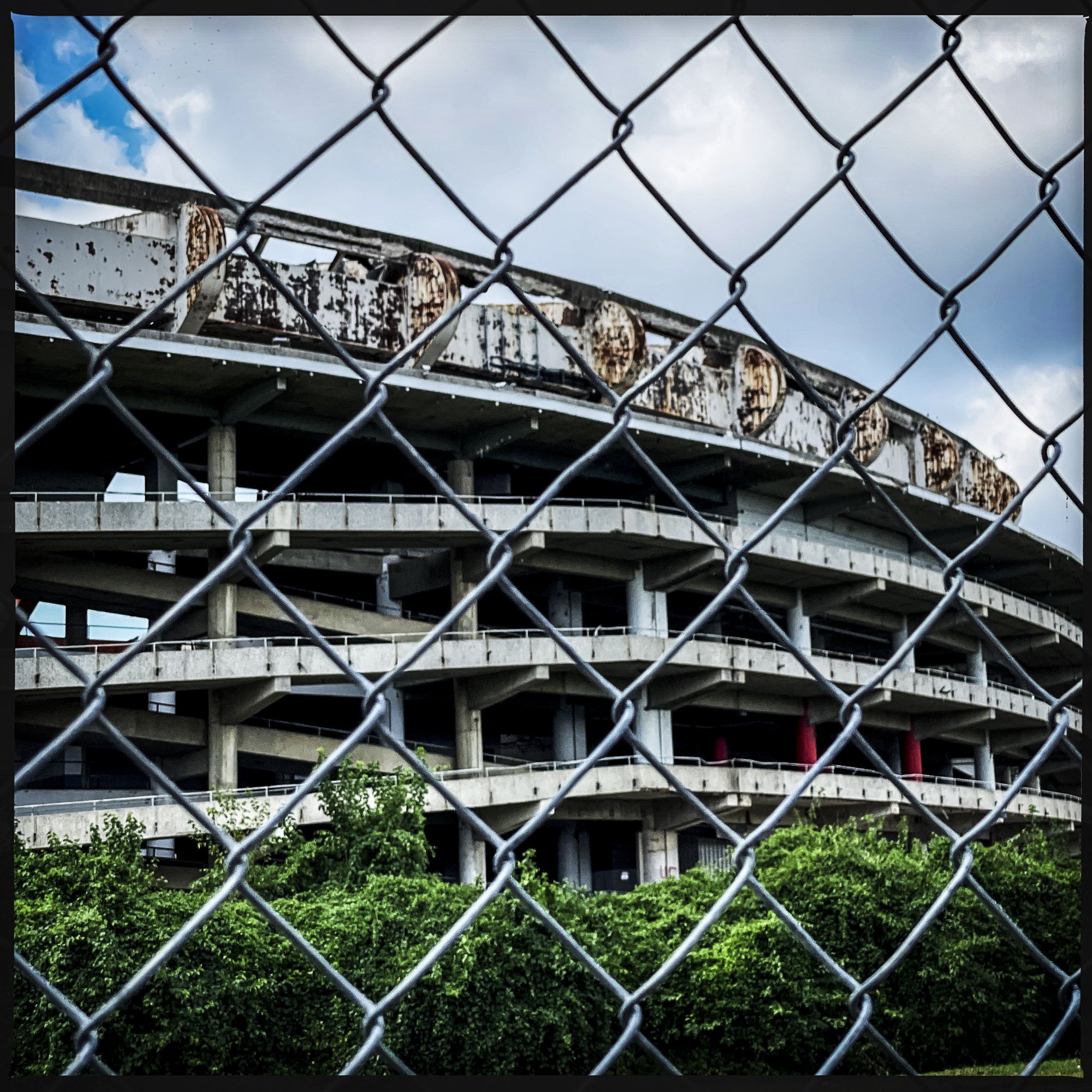 Commanders Promise to Preserve Some of RFK Stadium’s Heritage Trees ...
