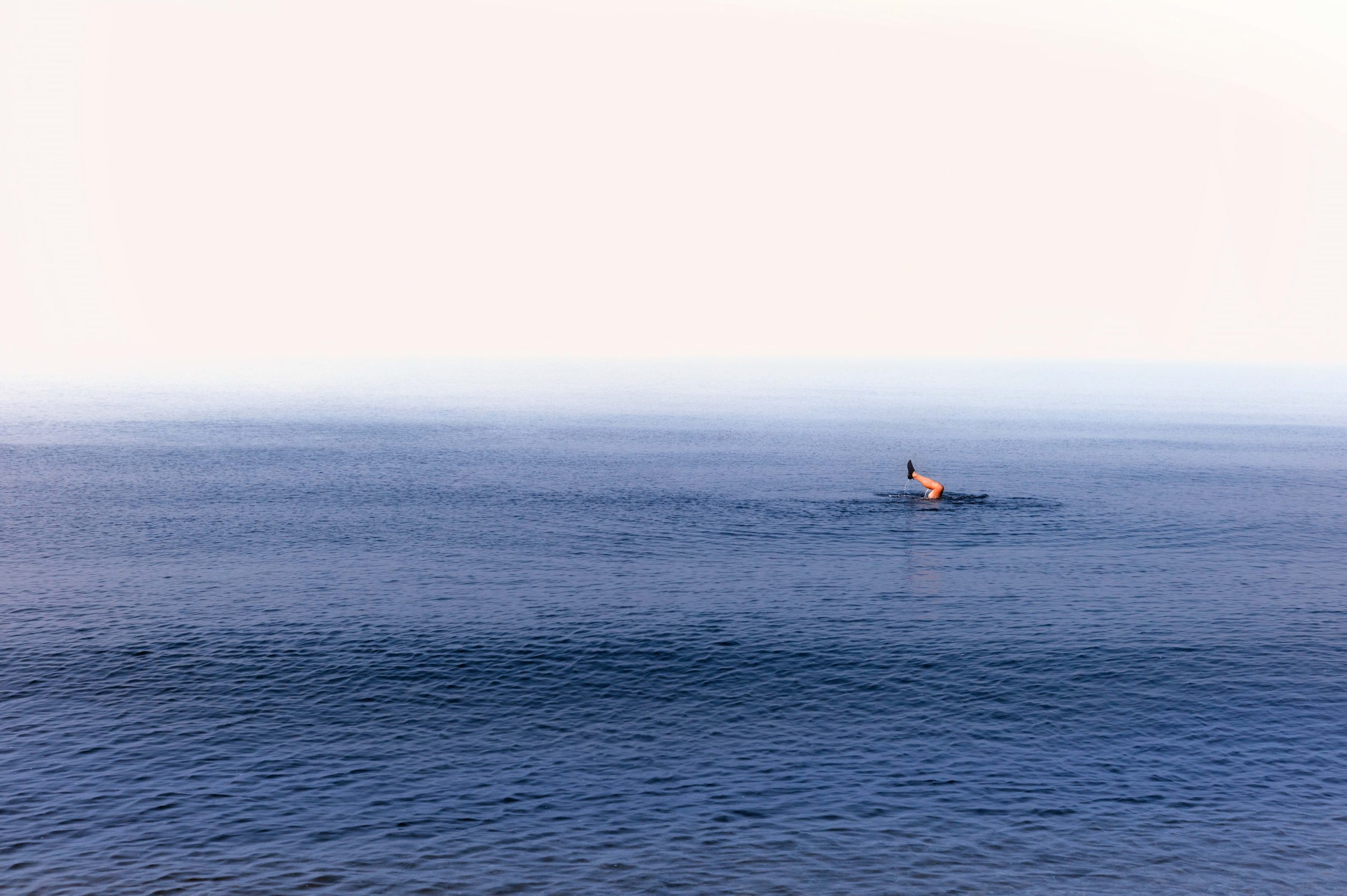 Easy on the Eyes: The Best in Local Photography Exhibits for 2025 ...