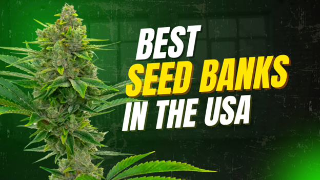 Best Seed Banks in the USA: Reputable Seed Banks to Buy Cannabis Seeds ...